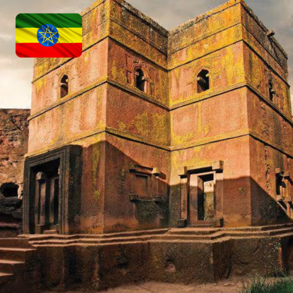 Tourist Visa – Savir Travel